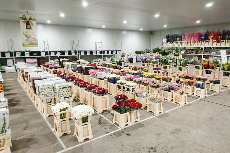 Agora Nancy - Agora Group