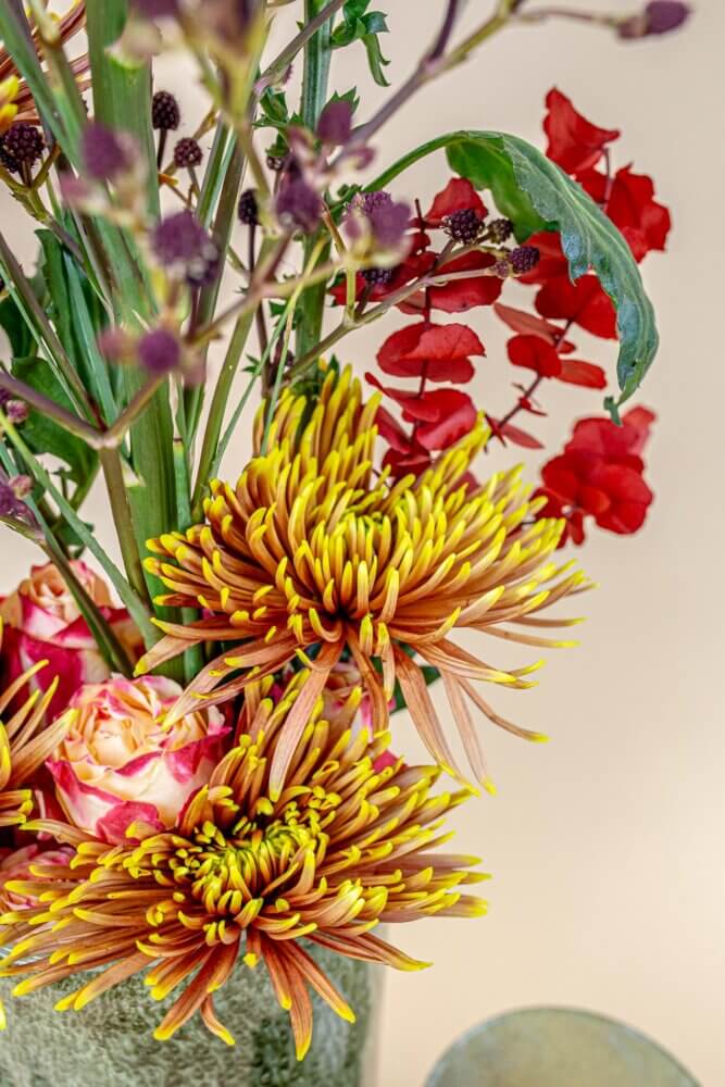 AUTUMN // AMUSE - Agora Group