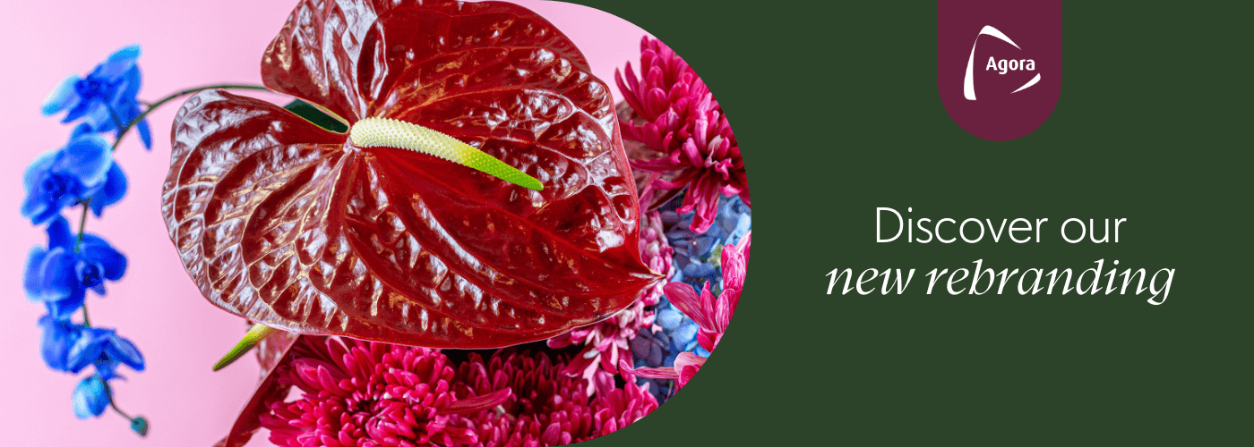 Discover our rebranding - Agora Group