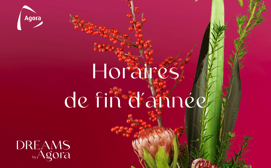 La France : Horaires d'ouverture de fin d’année - Agora Group